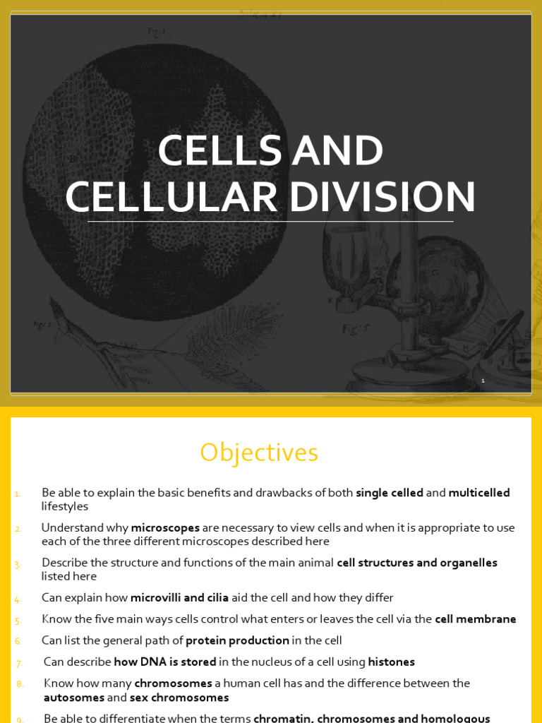 1 Intro Parts of The Cell and Cell Division 24 | PDF