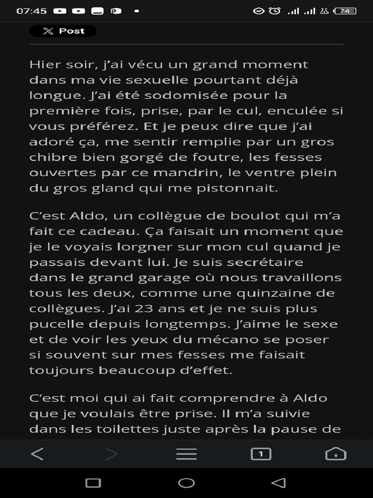 PDF Phoenix 20241015 235256 | PDF