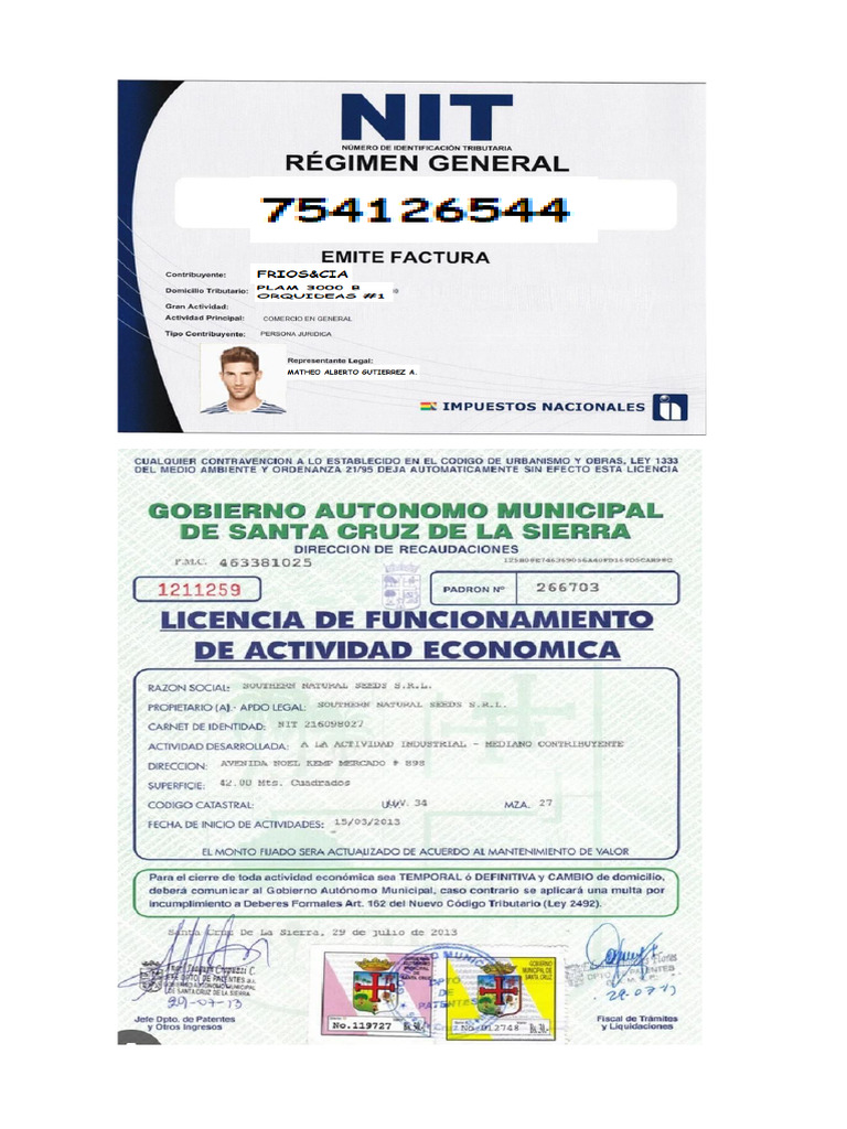 Nit para Editar | PDF