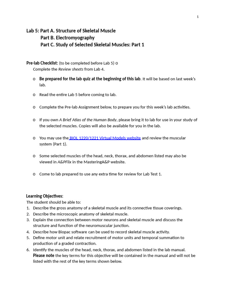 Lab 5 Muscle Structure, EMG, & Muscles Part 1 F24 | PDF