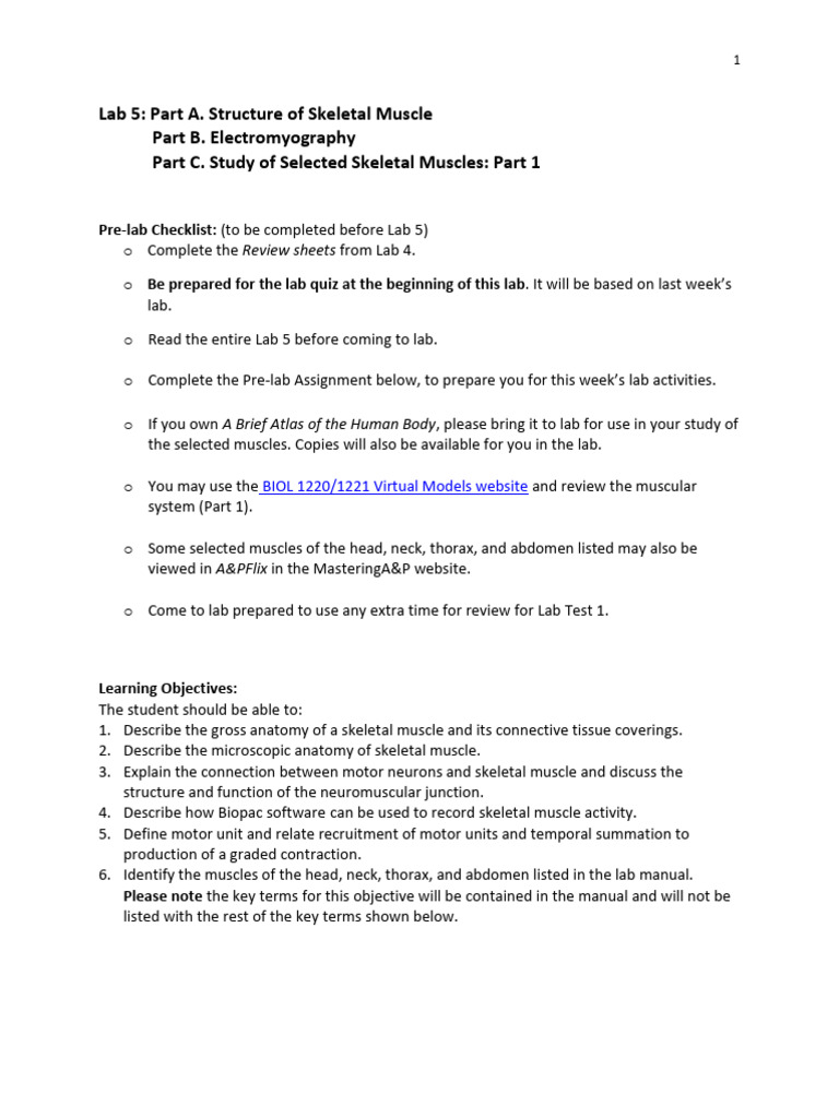 Lab 5 Muscle Structure, EMG, & Muscles Part 1 F24 | PDF
