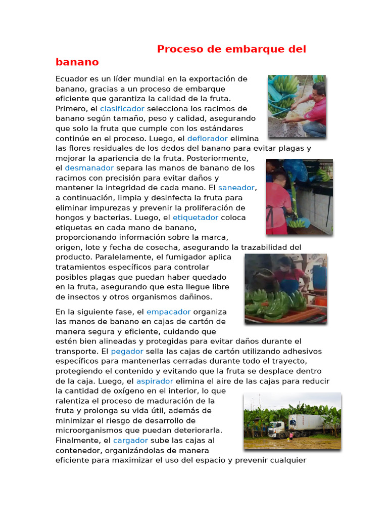 Proceso de Embarque Del Banano | PDF