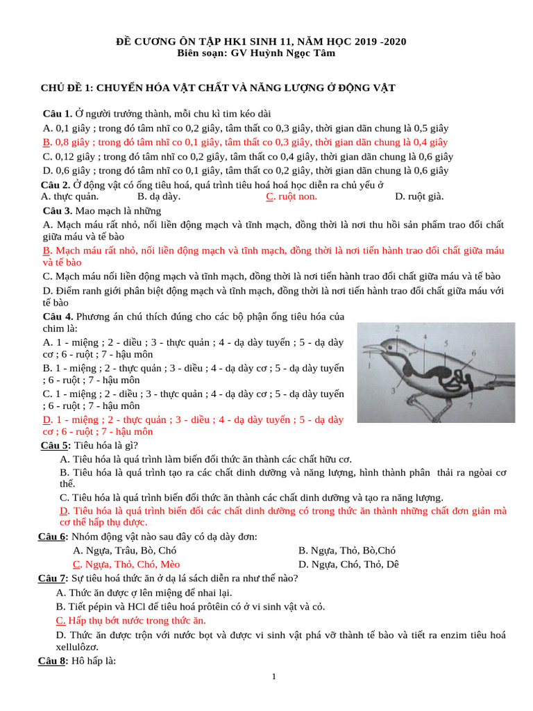 ĐỀ CƯƠNG ÔN TẬP HK1 SINH 11-2019-2020-HC | PDF