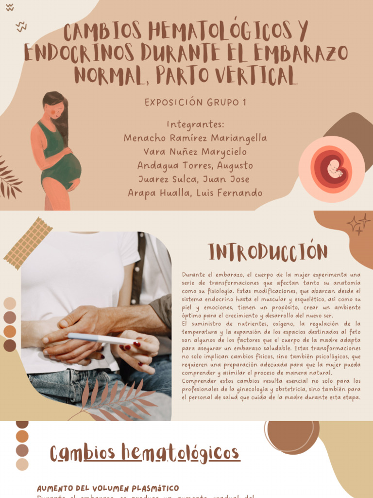 Expo Parto Med Tradicional | PDF