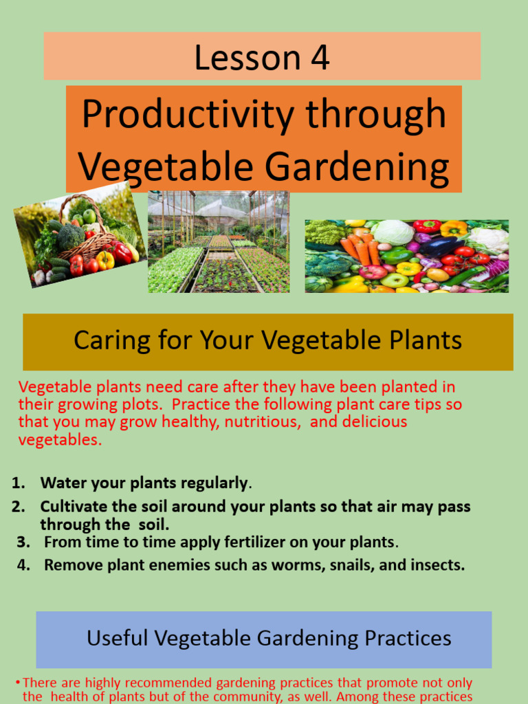 HELE 5 Lesson 4 | PDF