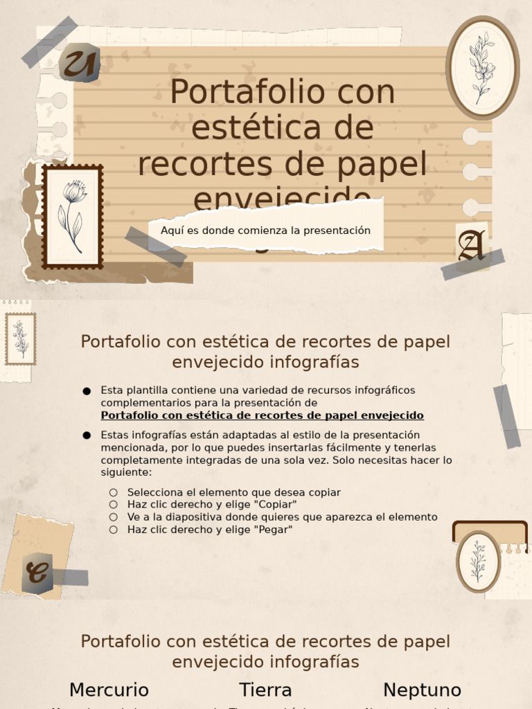 Old Scrap Paper Aesthetic Portfolio Infographics | PDF