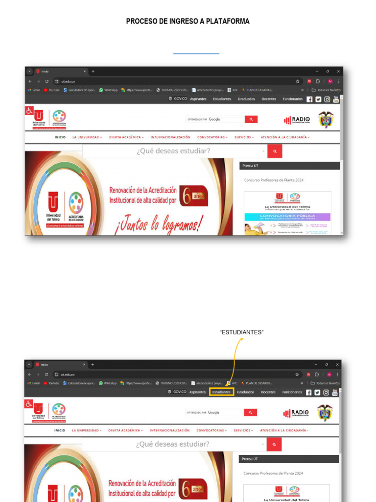 Proceso de Ingreso A Plataforma | PDF
