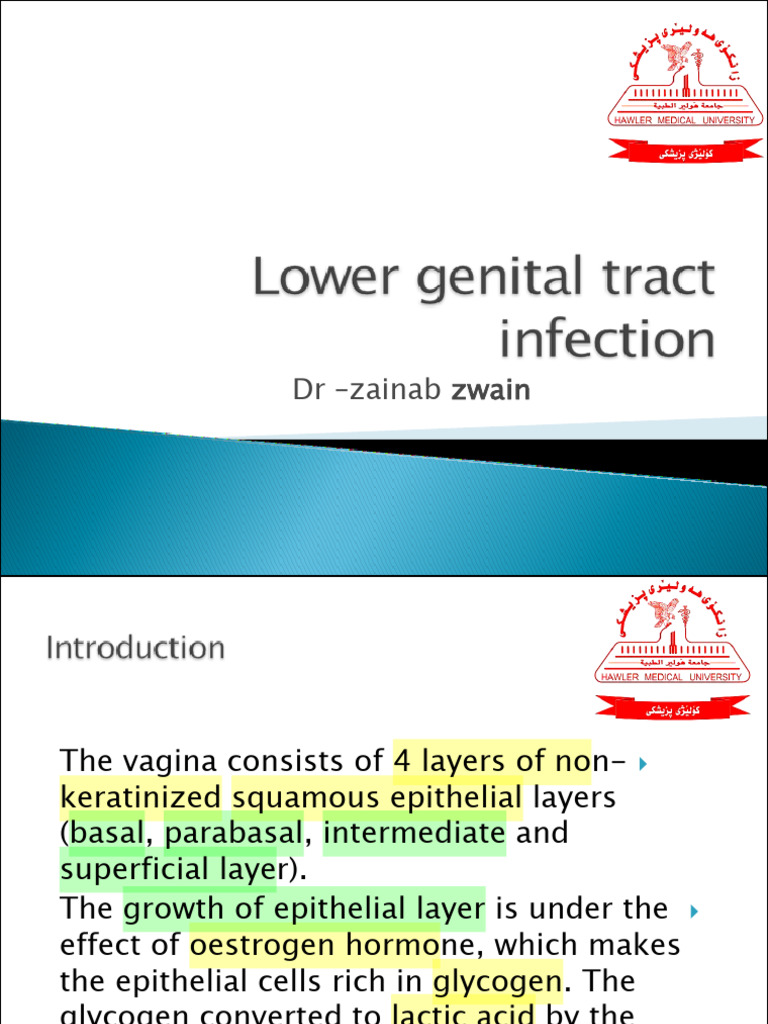 39 Lower Genital Tract Infections | PDF