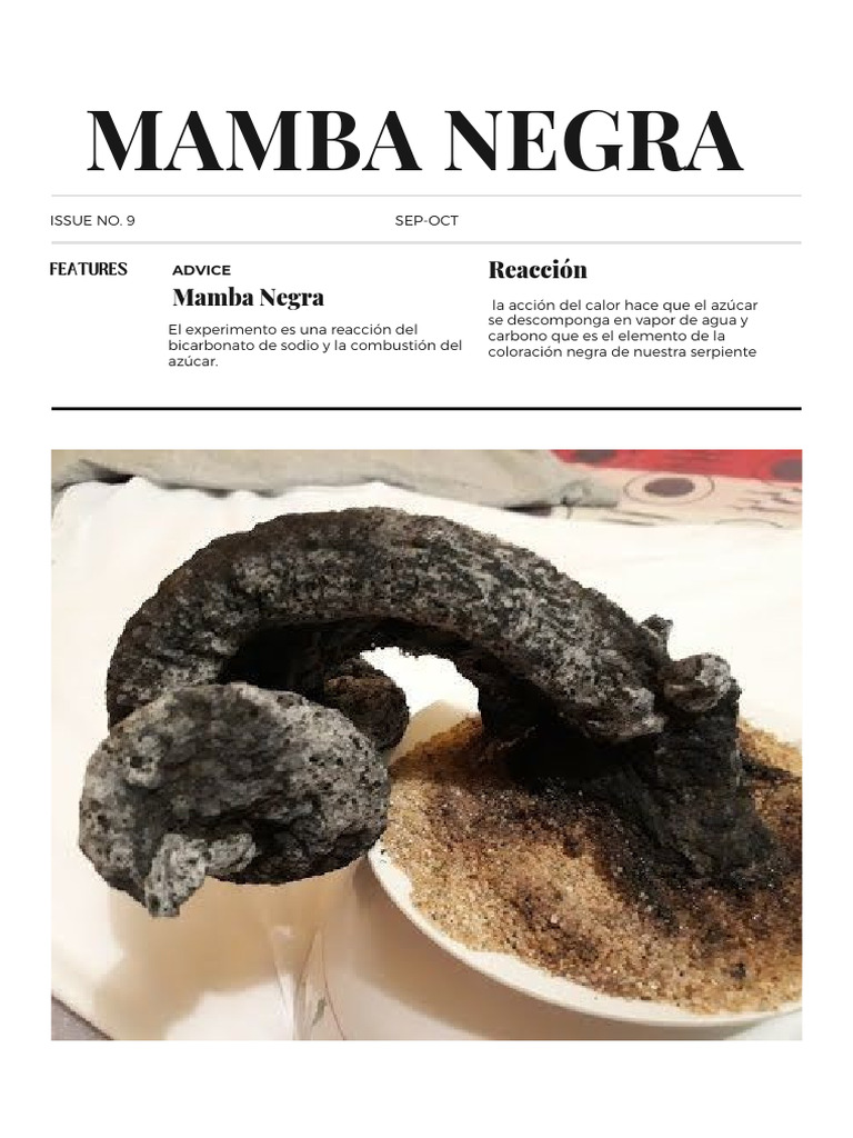 Mamba Negra | PDF