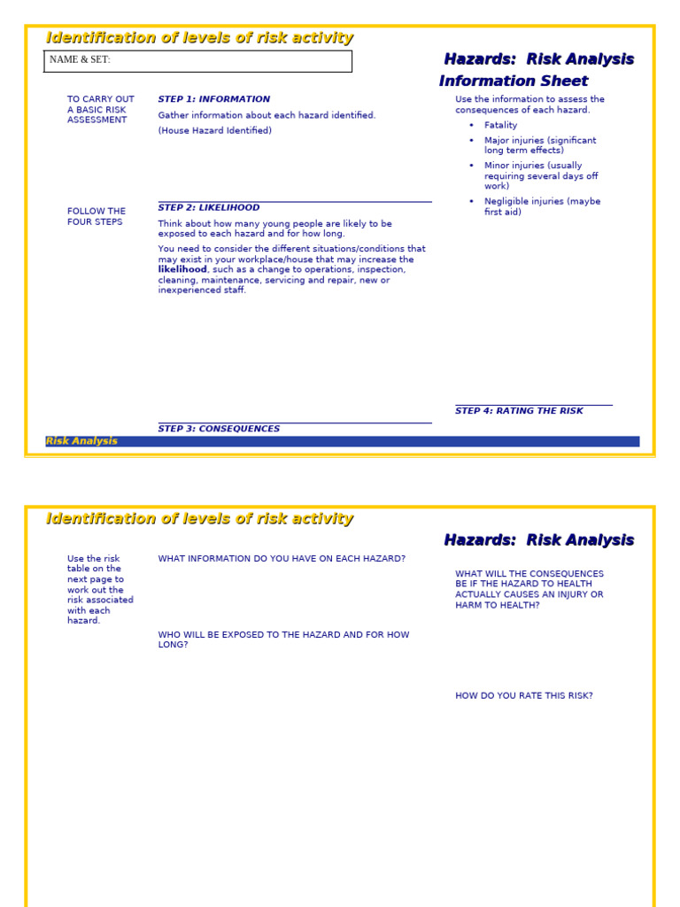 Risk Analysis Activity | PDF