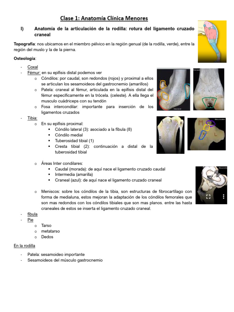 C2 Clase 01 Menor 27.09 | PDF