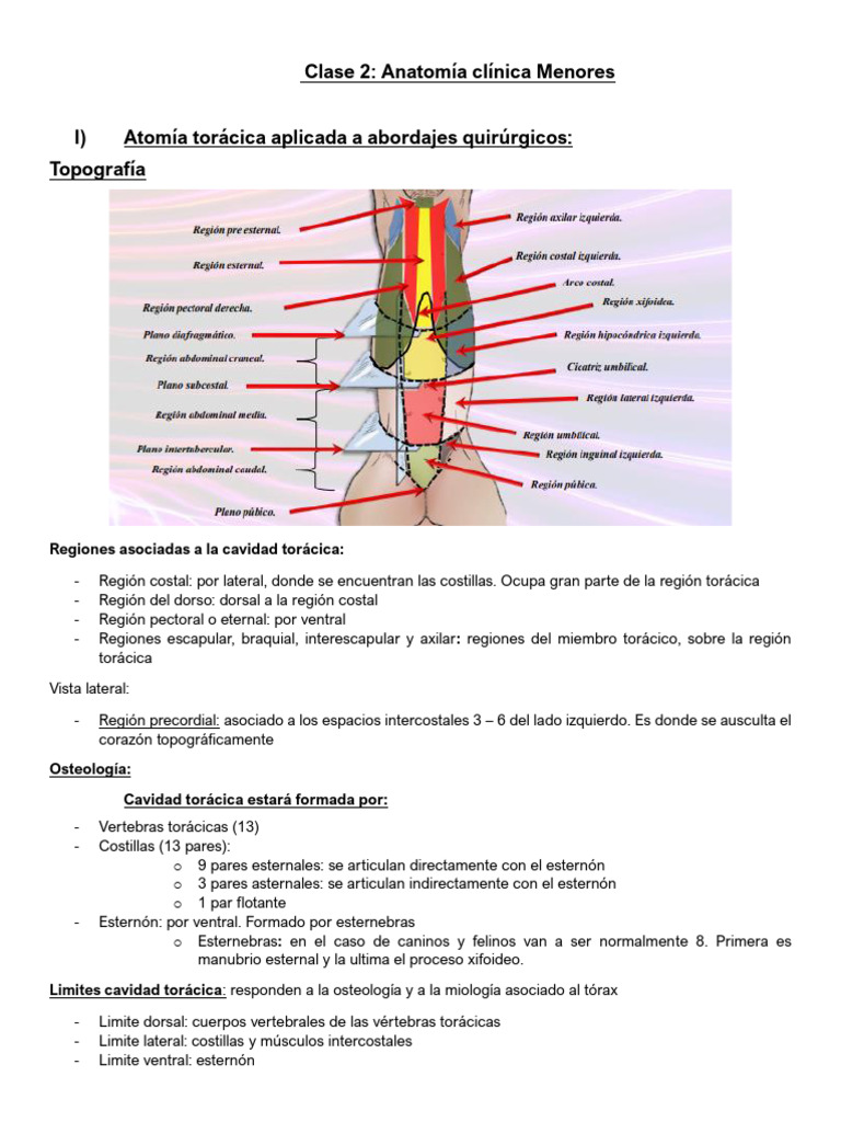 C2 Clase 02 Menores | PDF