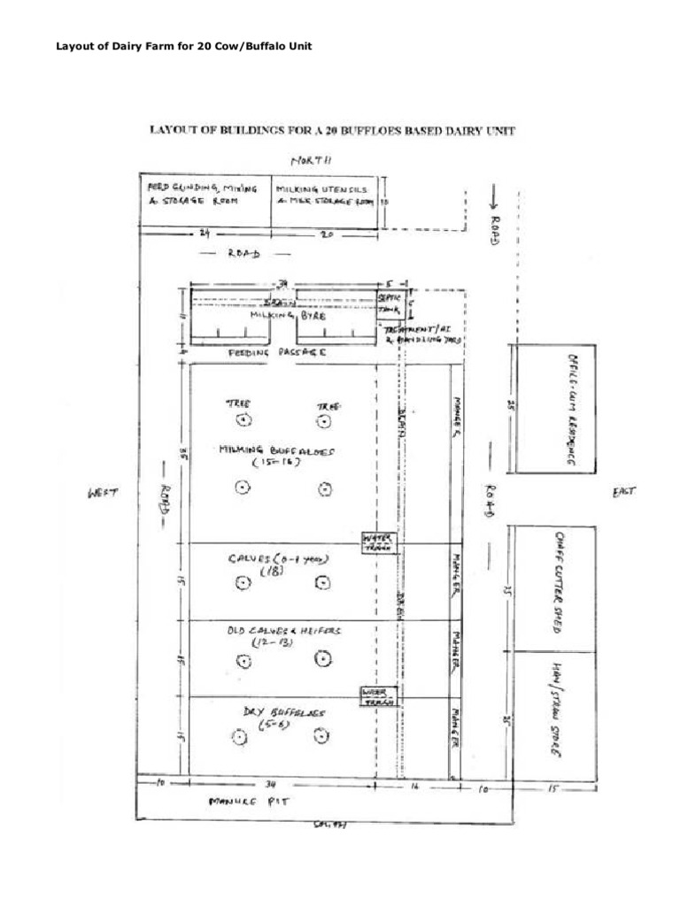 Dairy Farm Design Layout