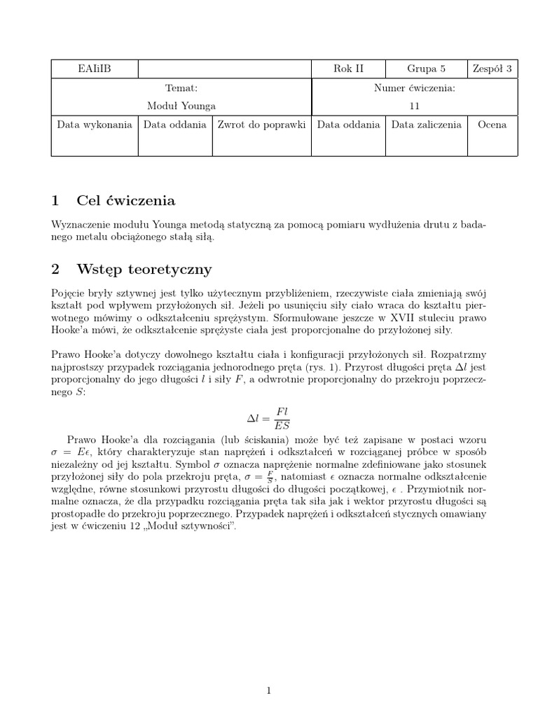 Model Younga | PDF