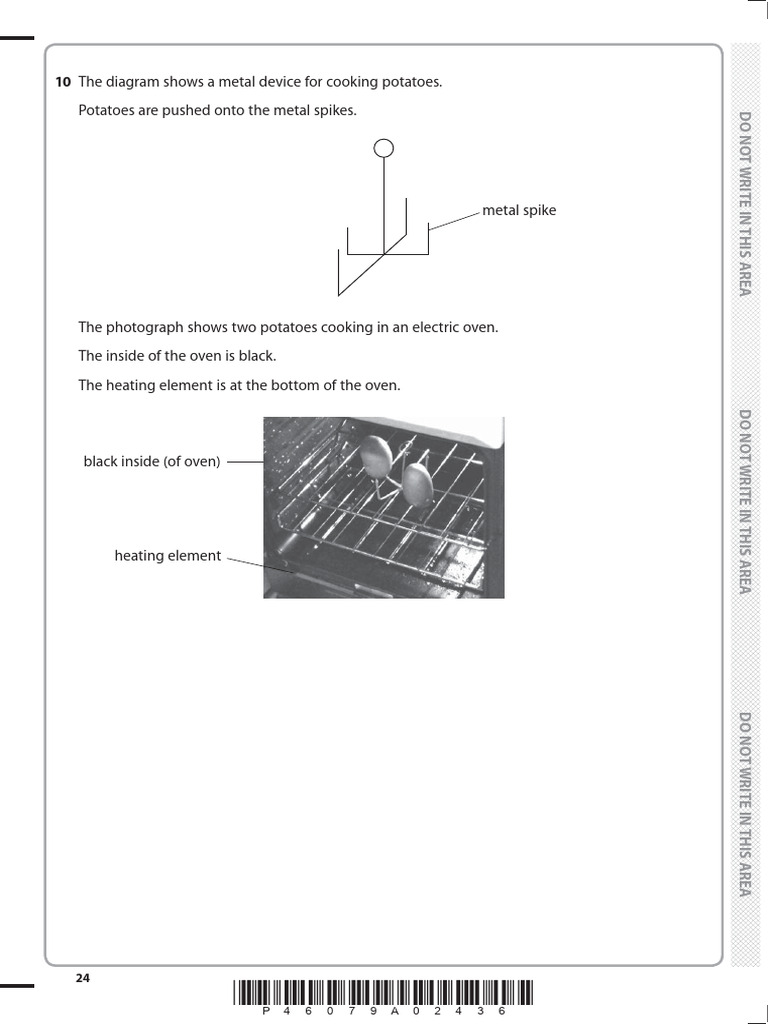Potato Exam 1P | PDF