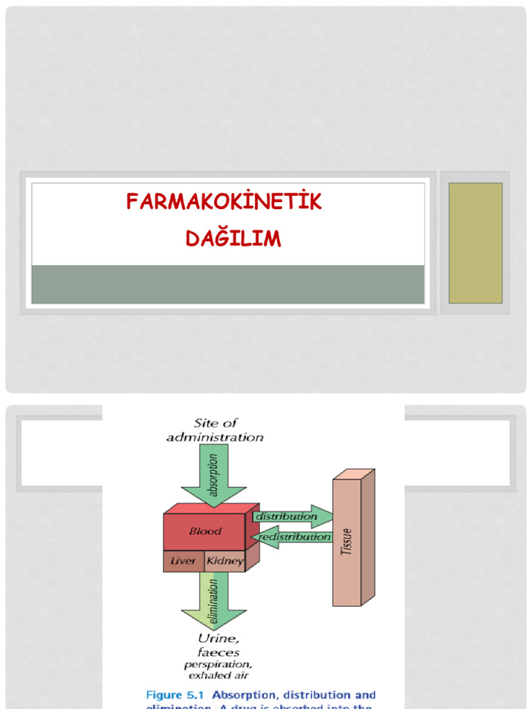 4-MED 5-Farmakokinetik Dağılım | PDF