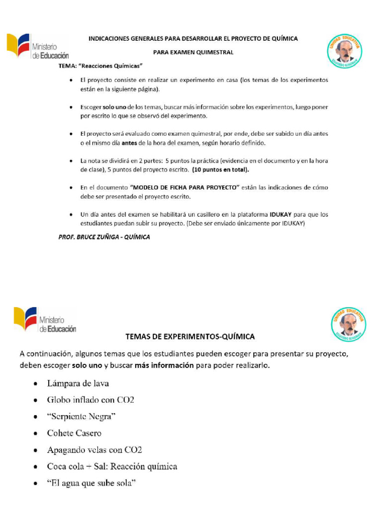 INDICACIONES DE PROYECTO 9no año | PDF