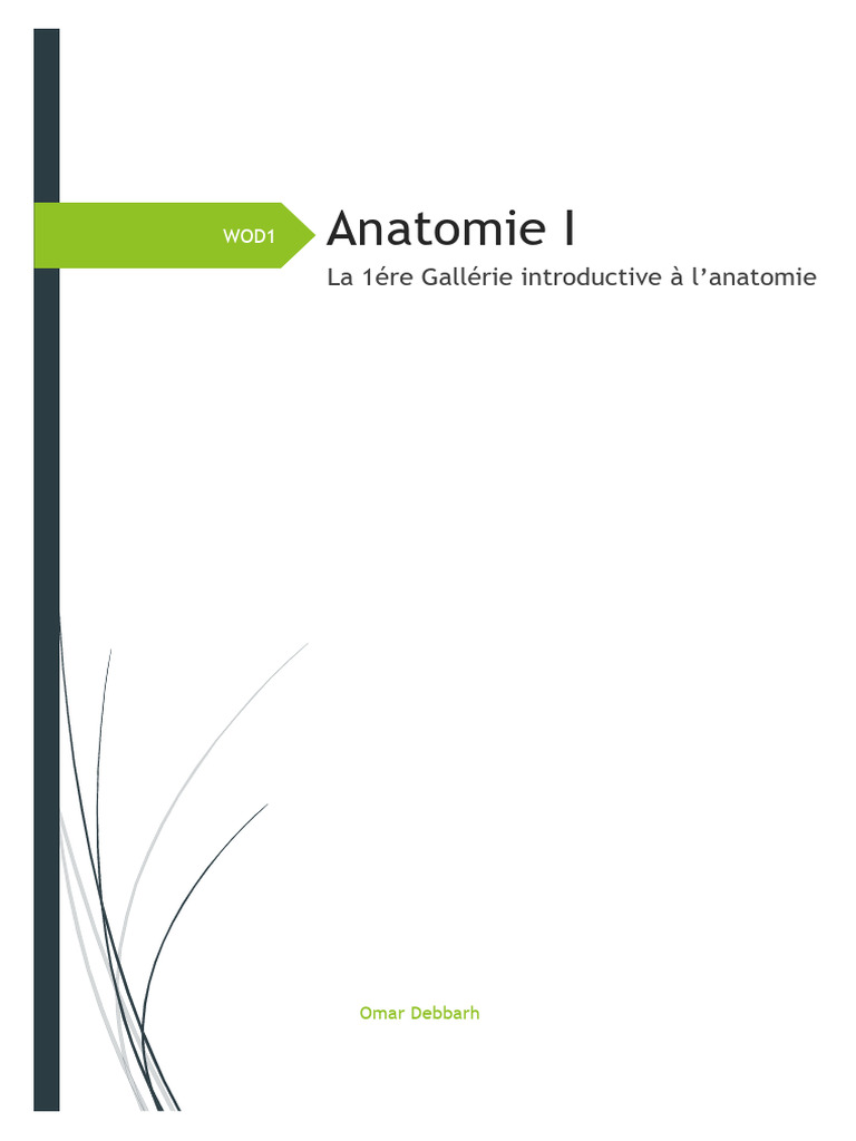 Anatomie | PDF