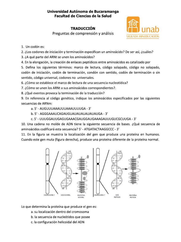 Actividad de Repaso Traduccion | PDF