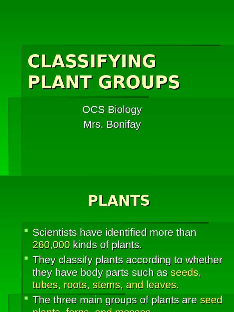 Classifying Plant Groups | PDF