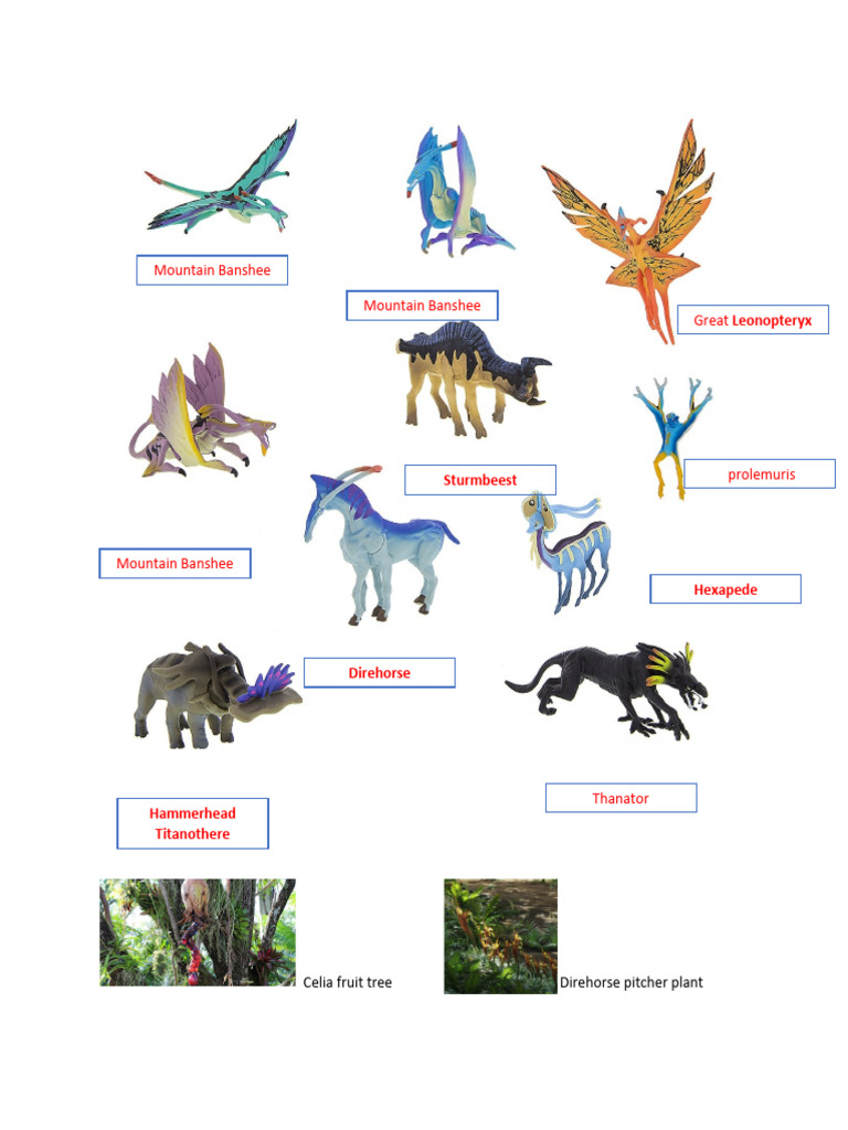 Avatar Food Web Worksheet | PDF