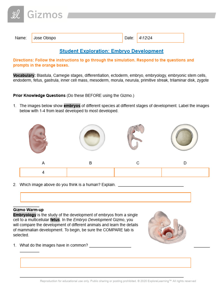 EmbryoDevelopmentSE | PDF