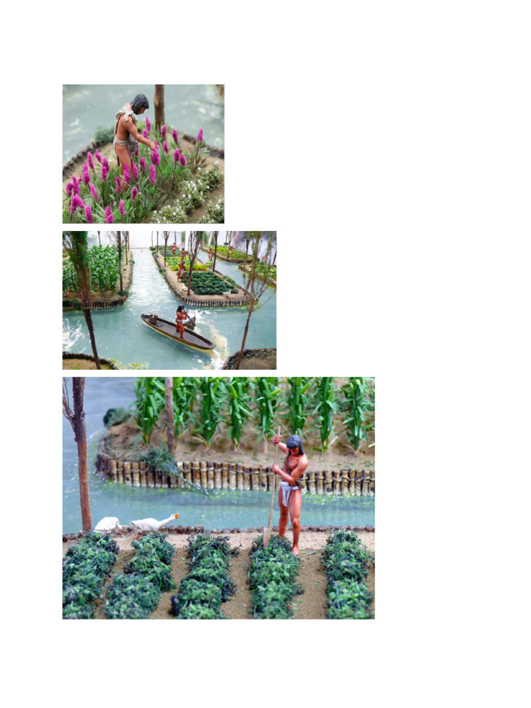 AZTEC Chinampas | PDF