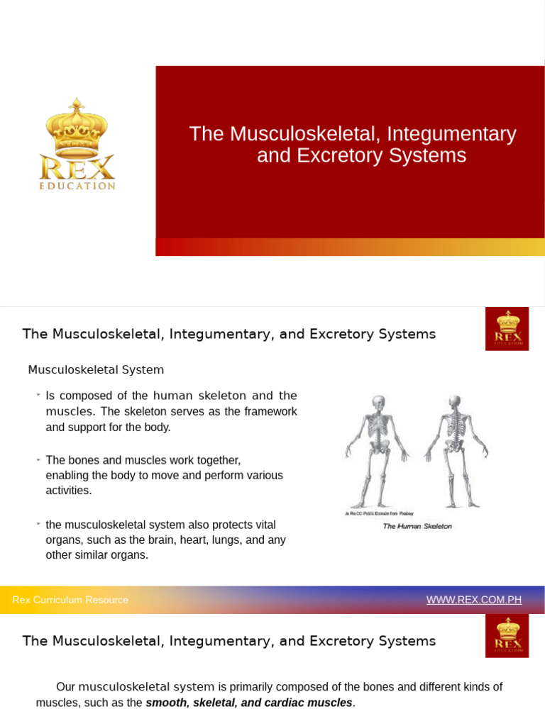 The Musculoskeletal, Integumentary, and Excretory Systems | PDF