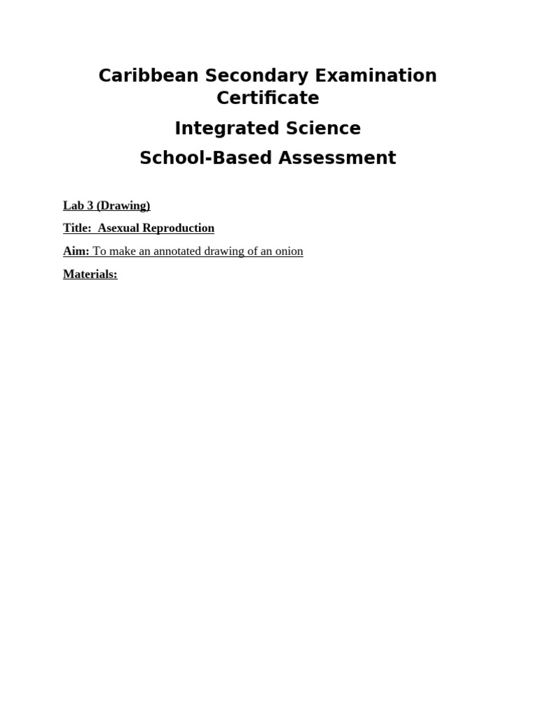 Lab 3 DR | PDF