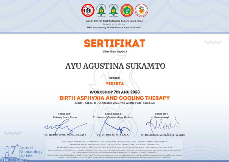 Workshop Annu Kompres | PDF