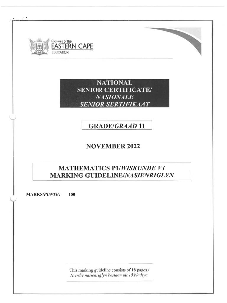 2022 Grade 11 Maths November Paper 1 Solutions | PDF