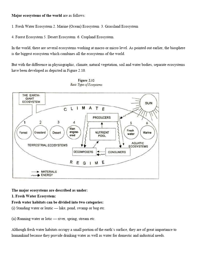 Major Ecosystems of The World | PDF