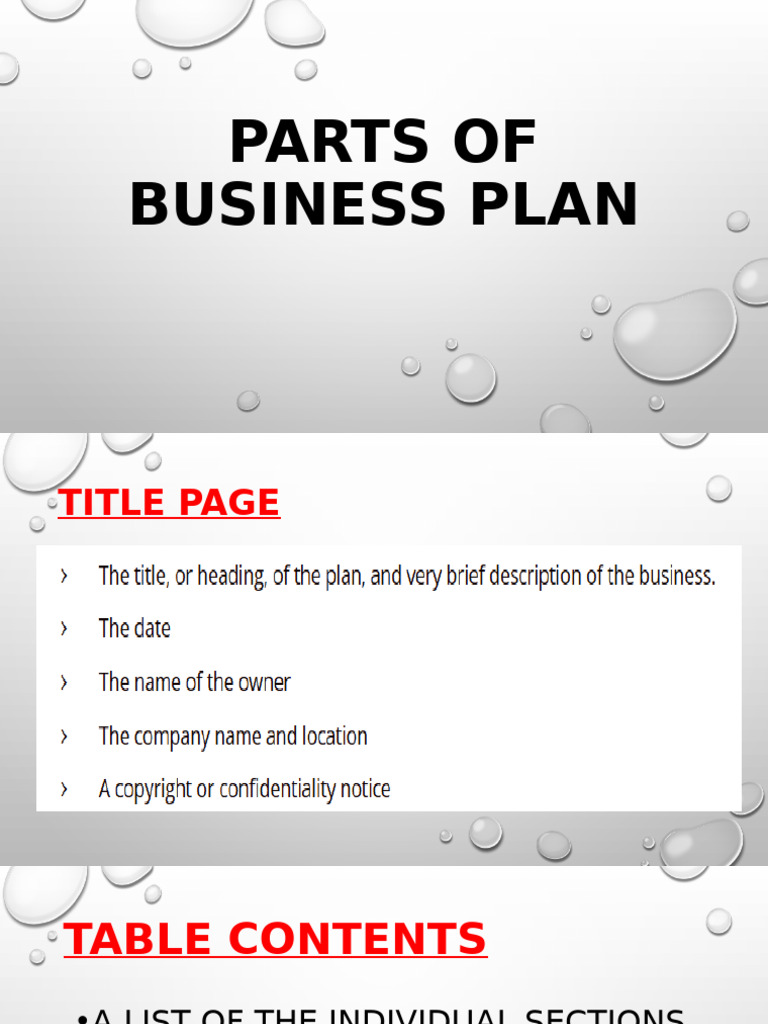 Parts of Business Plan | PDF