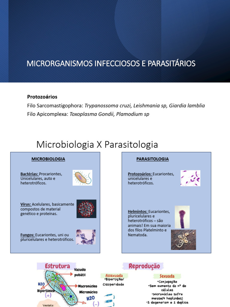 Aula Parasito 2 2024 Pdf
