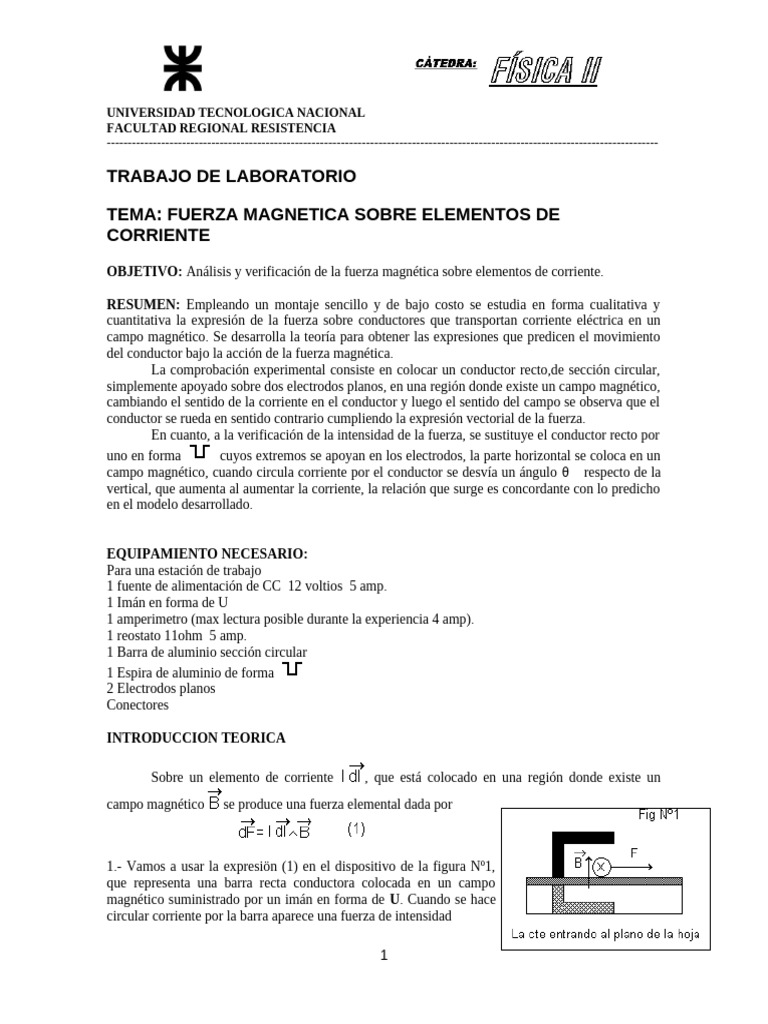 Fuerza Magnética - Guía TP | PDF