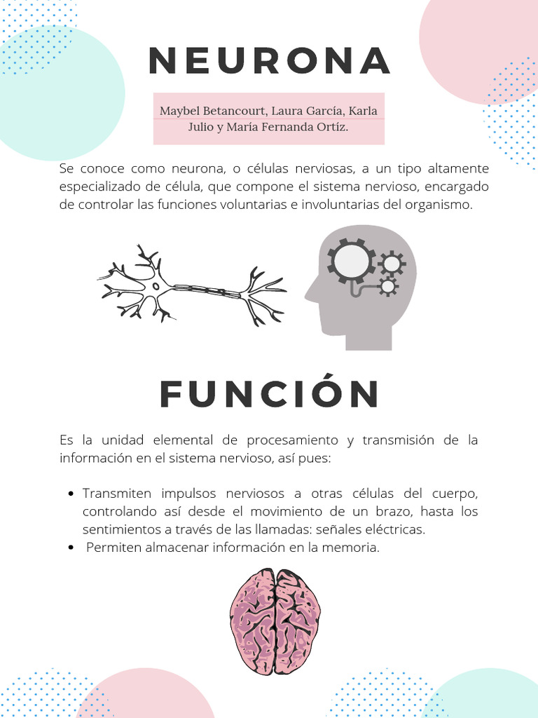 Neuronas | PDF