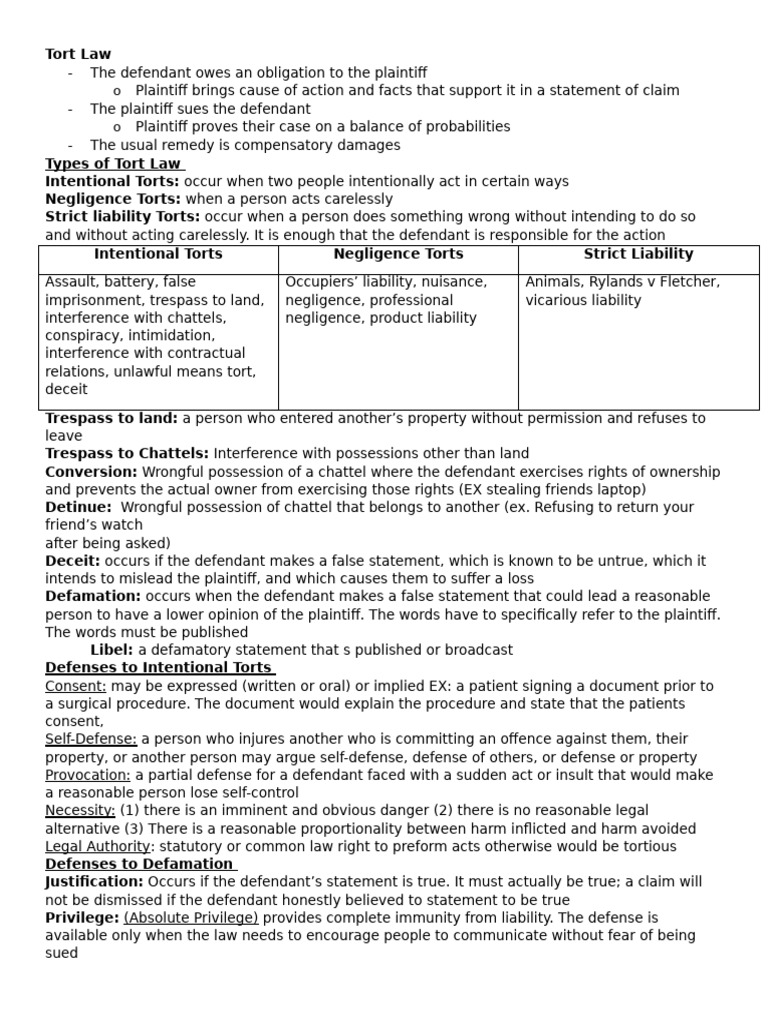 Tort Law Final Exam | PDF