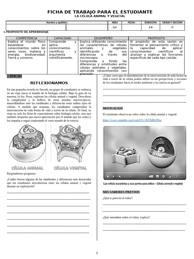 UNIDAD 1 - FICHA - SEM 3 - CIENCIA 1° | PDF