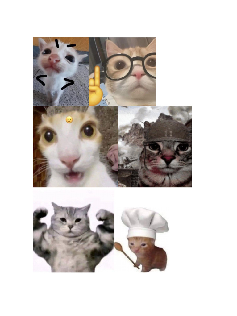 Gatos XD | PDF