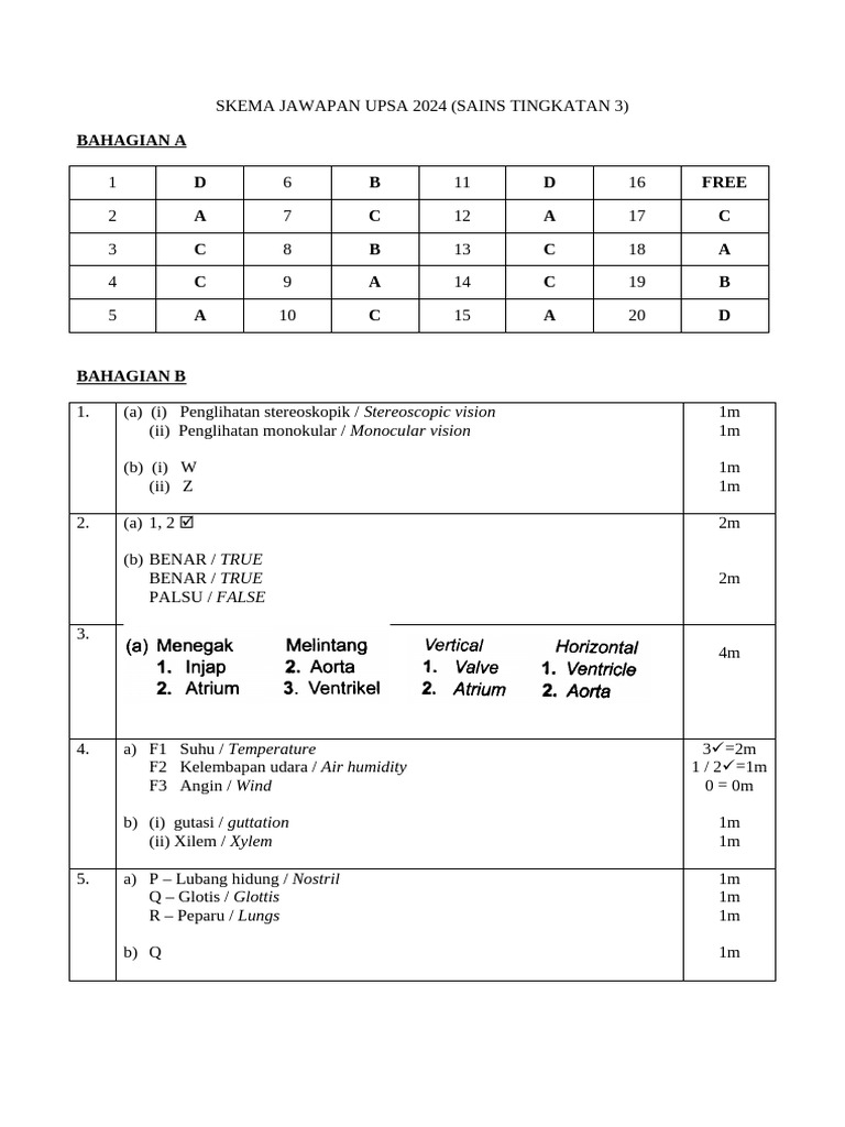 Skema Jawapan Upsa 2024 | PDF