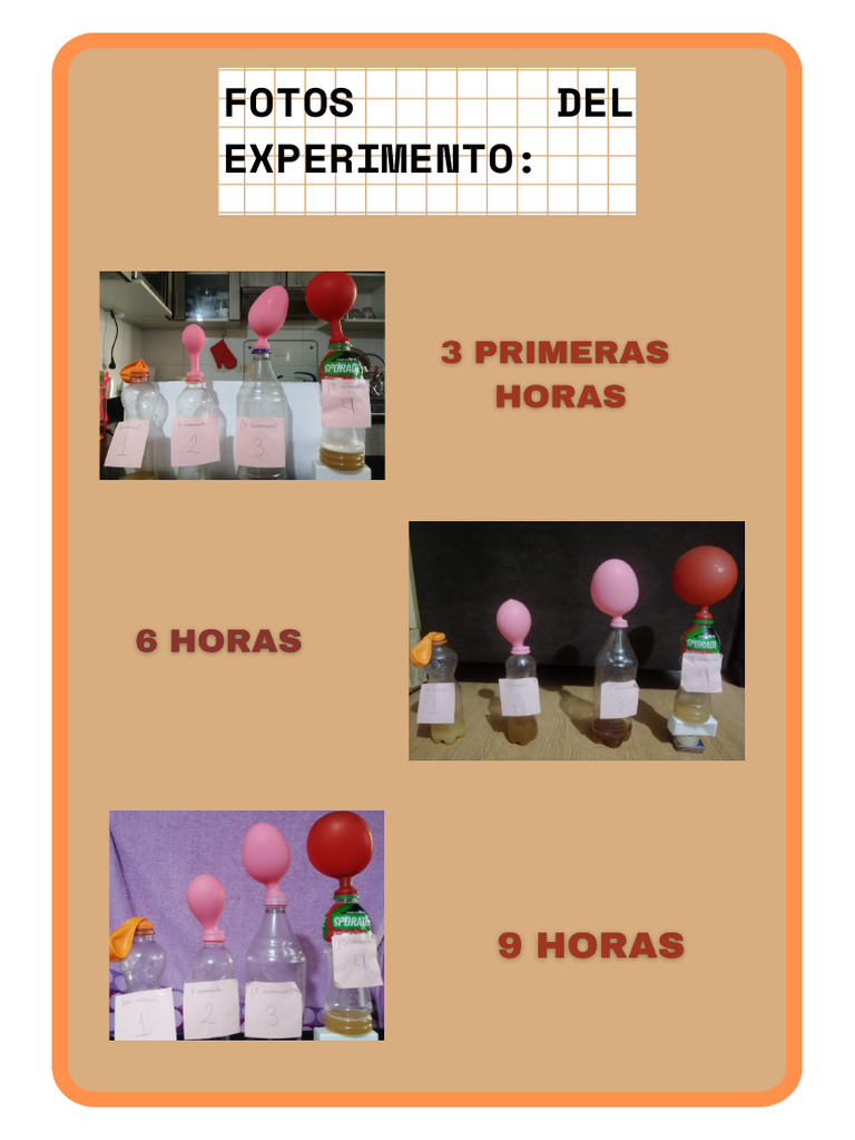 Artist Investigation Worksheets in Yellow, Brown and Blue Illustrative ...