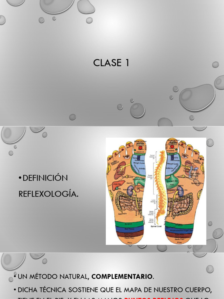 Clase 1 (Introduccion) | PDF Clase 1 (Introduccion) | PDF