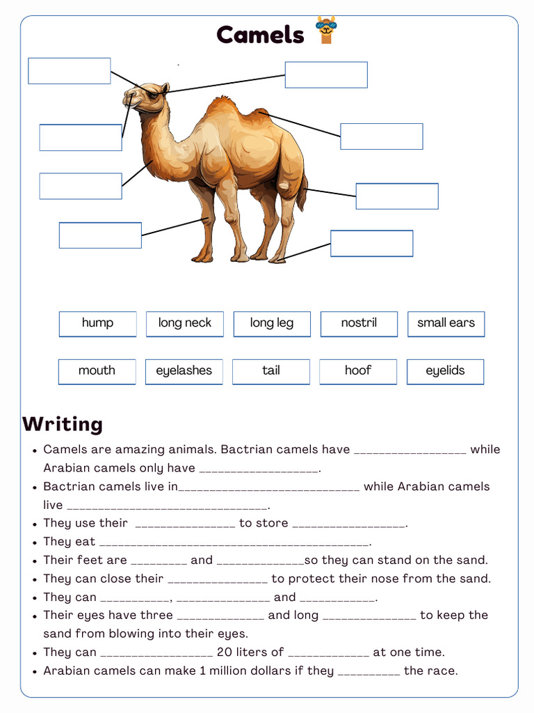 Camel | PDF