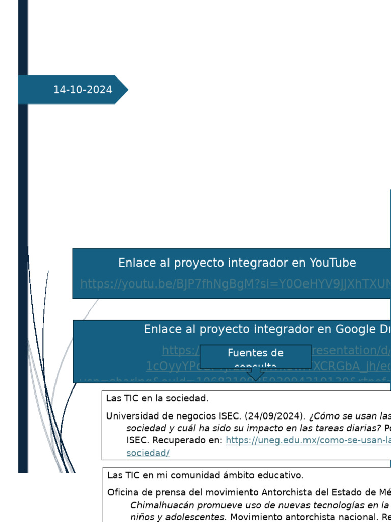Proyecto Integrador Modulo 1 | PDF