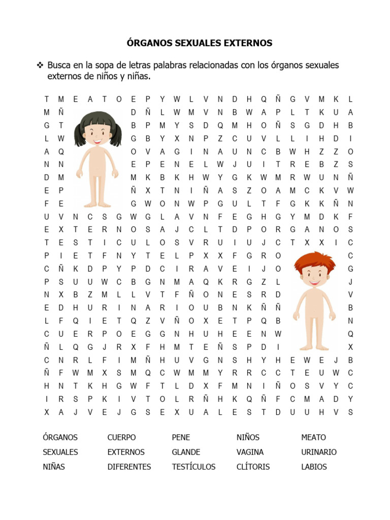 Órganos Sexuales Externos | PDF | Clítoris | Reproducción