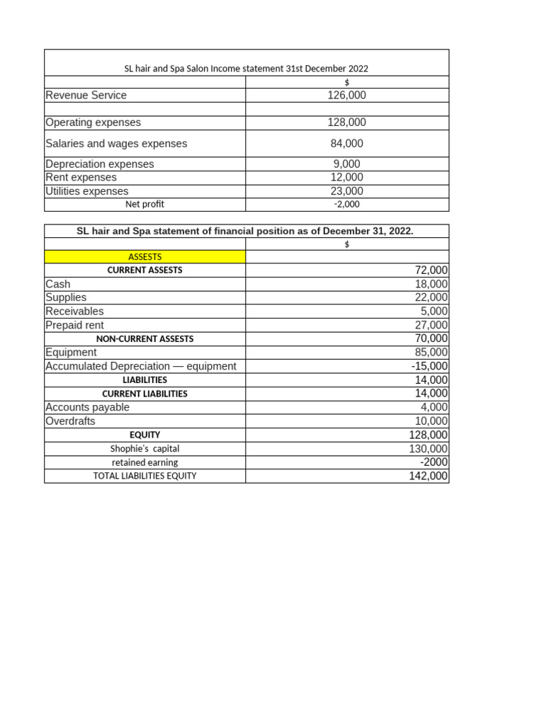 SL Hair and Spa Salon Income Statement 31st December 2022 $ | PDF