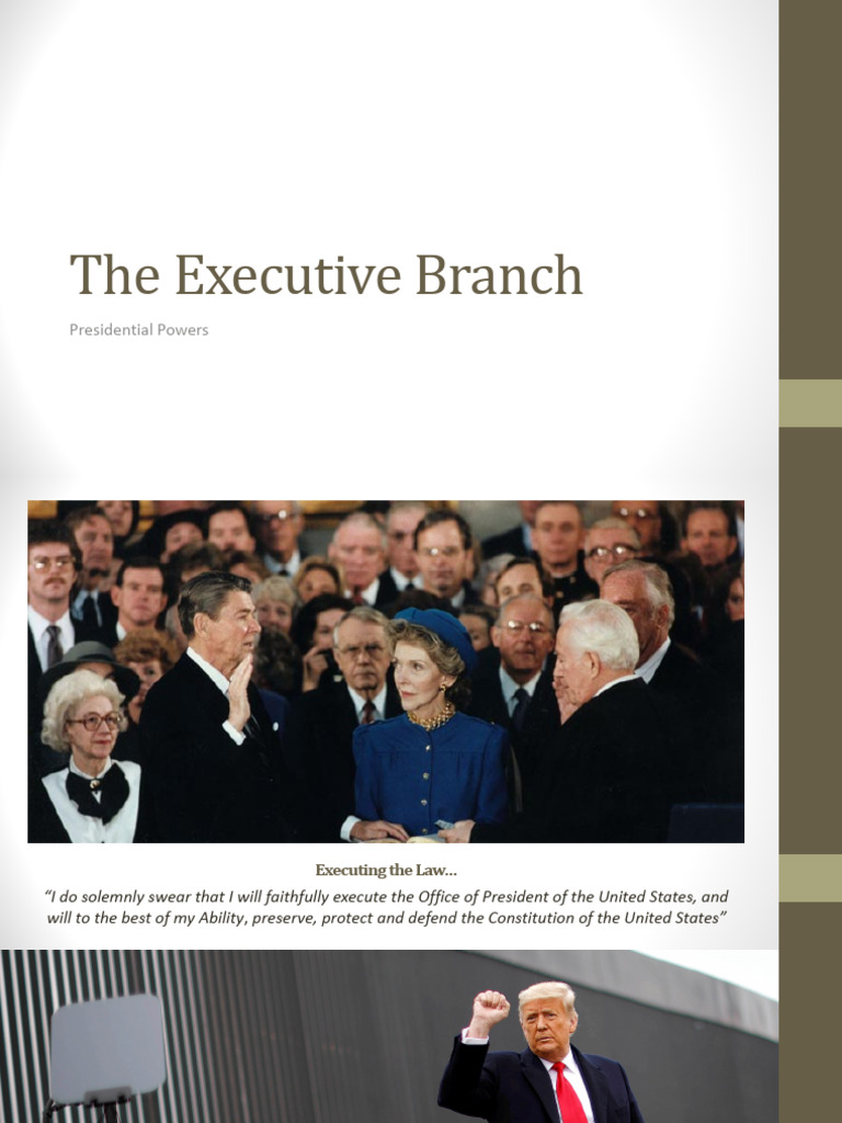 The Executive Branch: Presidential Powers | PDF