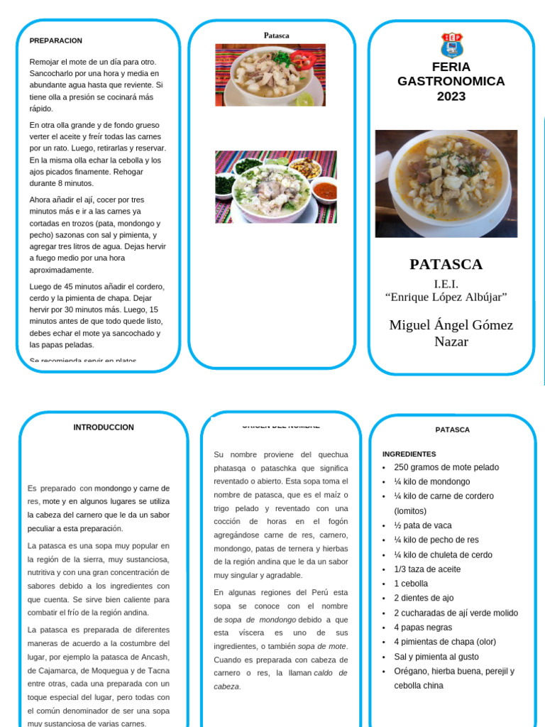 328141399-triptico-patasca | PDF