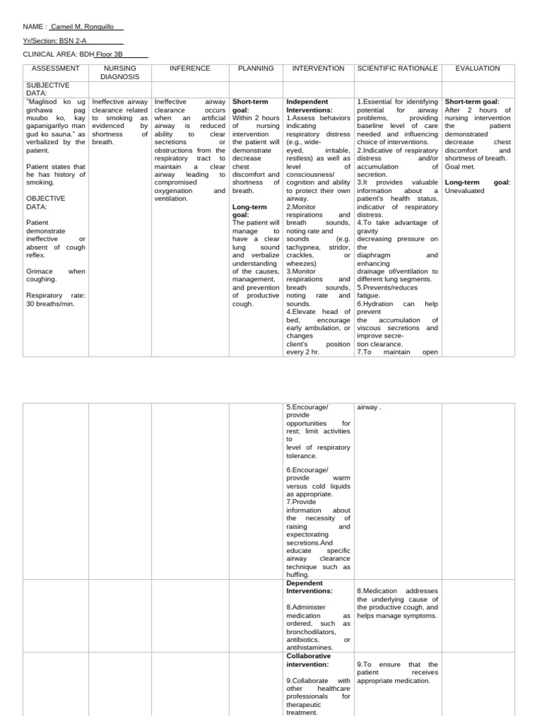 Nursing Care Plan Format NCP 1 11 3 | PDF