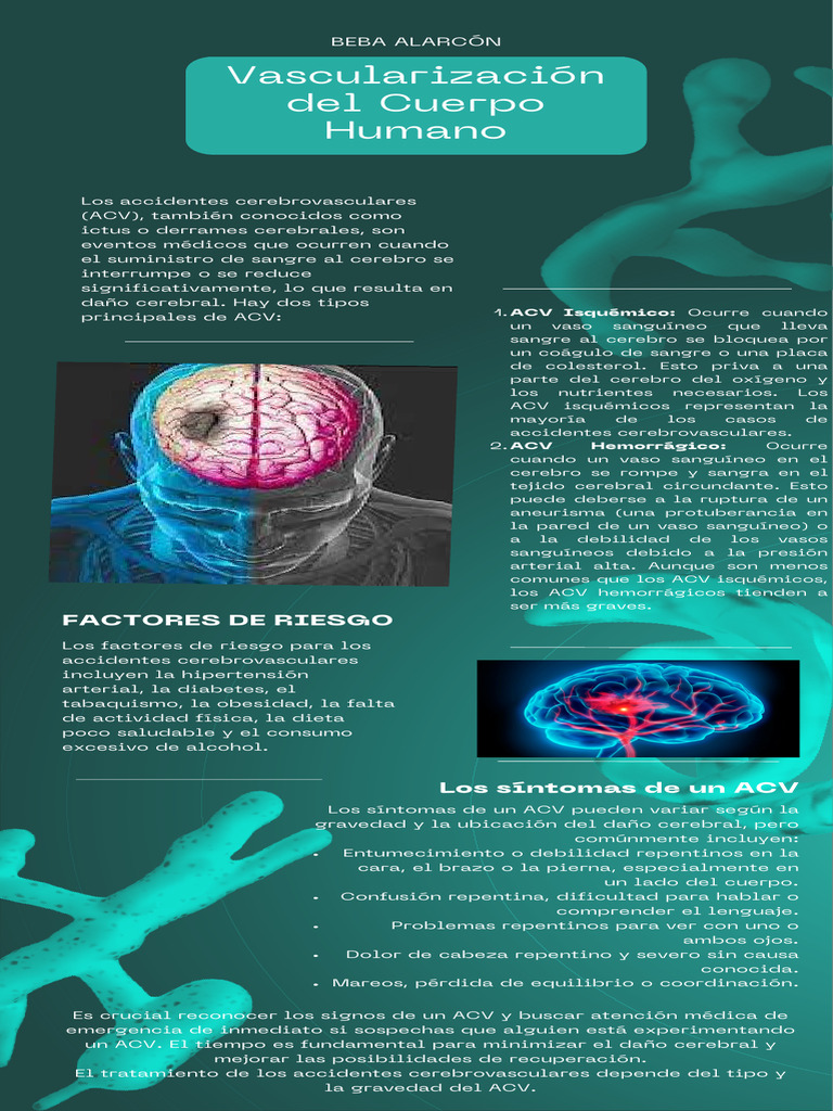 INFOGRAFÍA ACV | PDF